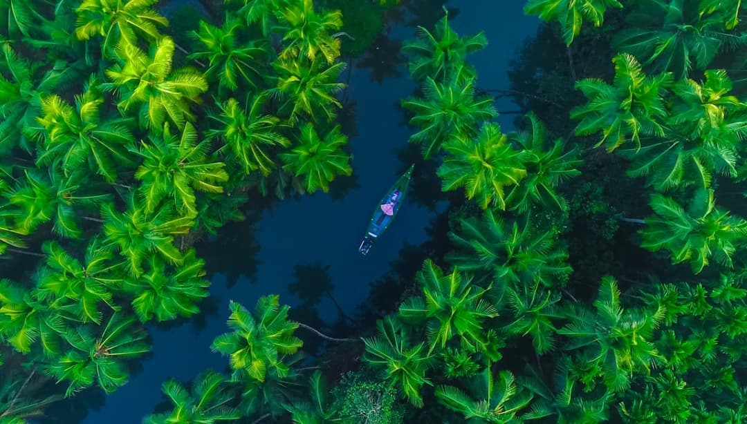 Explore Uttarakannada's Hidden Gems with a Sharavathi Backwater Boat ...