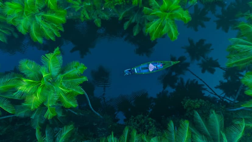 Explore Uttarakannada's Hidden Gems with a Sharavathi Backwater Boat ...